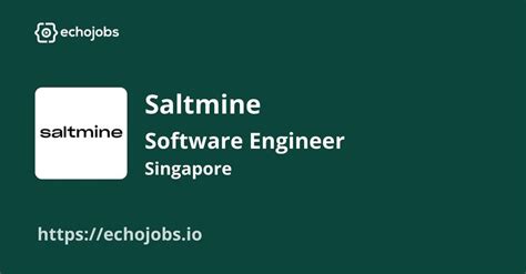 Saltmine Is Hiring Software Engineer Ii Singapore Kubernetes Docker Git Typescript React