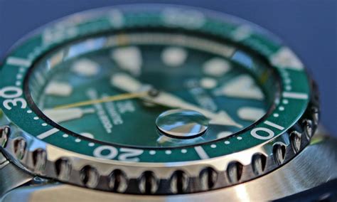 Seiko Sbdy083 Mini Turtle Review Proof That Jdm Seiko Is Superior — Bens Watch Club