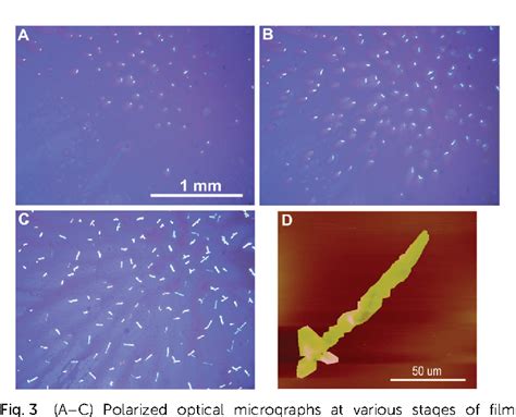 Figure 1 From A Simple Model Of Burst Nucleation Semantic Scholar