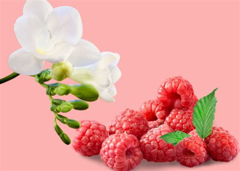 Freesia And Red Berries Fragrance Oil Purefx