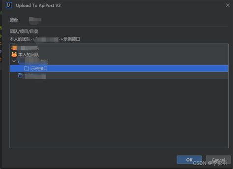 Idea插件 Apipost Helper V2 的简单使用apipostv2 Csdn博客