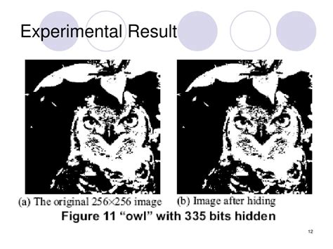 Ppt A New Data Hiding Method In Binary Image Powerpoint Presentation