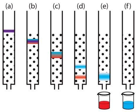 12 2 general theory of column chromatography chemistry libretexts