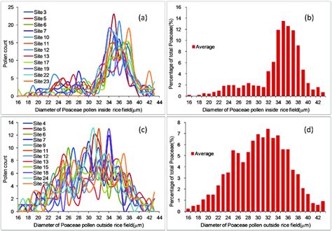 Size Distributions Of Poaceae Pollen From Inside And Outside Of The Download Scientific Diagram
