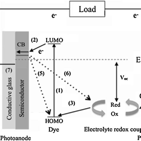 Operating Principle Of Solid State Dye Sensitized Solar Cells