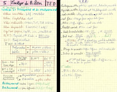 Analyse D Exploitation Ted Resume Manuscrit Pdf