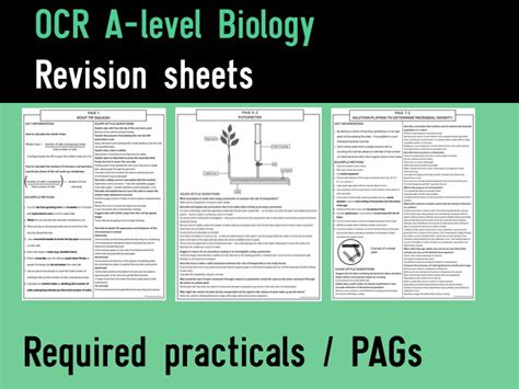 Ocr A Level Biology Required Practical Pag Revision Sheets Teaching Resources