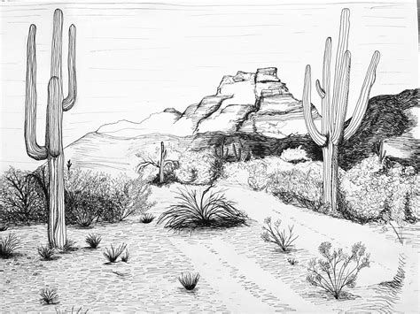 How To Draw A Desert Landscape How To Draw The Jungle On Paper With A