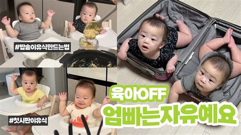 육아휴무 자유부인을 위한 준비 브이로그 중기 밥솥이유식 만드는 법 첫 시판이유식 Youtube