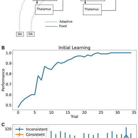 Simulation Of A Stimulusresponse Task In Which The Action Outcome Is Download Scientific