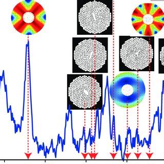Correspondence Of The Experimental Polarization Noise Peaks And The Download Scientific Diagram