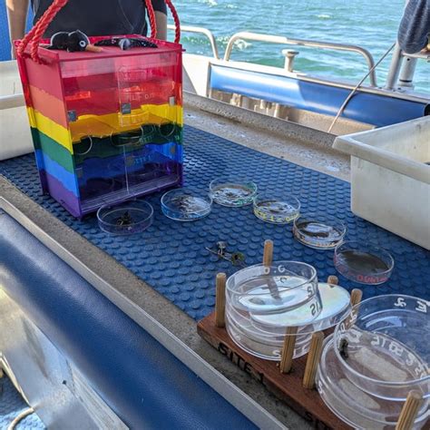 Sediment Petri Dish Setup Hackaday Io