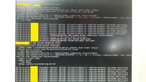 Linux Failed To Start Raised Network Interfaces But Restarting After