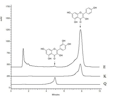 Overlay Chromatograms Showing The Peak Of The Flavonoids Quercetin Q