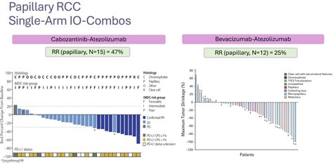 Esmo 2024 Non Clear Cell Rcc