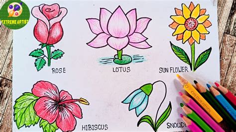 How To Draw Different Type Of Flowers Step By Step Rose Lotus