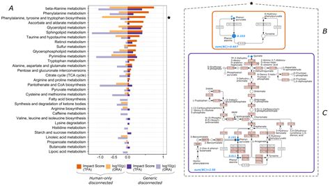 Metabolic Pathway Analysis Advantages And Pitfalls For The Functional Interpretation Of