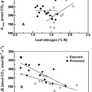 Log Log Relationship Between The Apparent Modulus Of Elasticity E Download Scientific