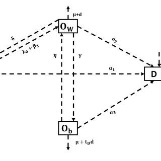 Flow Diagram Of Model 2 1 Download Scientific Diagram