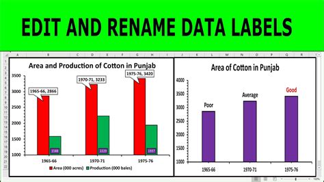 how to add edit and rename data labels in excel charts youtube