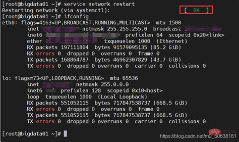 怎么查看linux是否支持ipv6 linux运维 PHP中文网