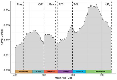 Shapes Of The Ammonoid Whorl Figures