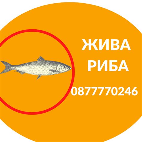 Магазин за риба Фиш Фуудс В навечерието на Никулден🐟 любопитни факти и обичаи ️Никулден е