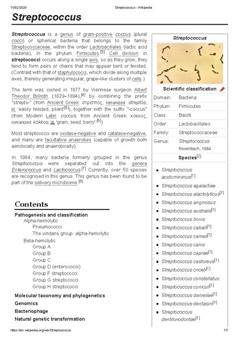 Streptococcus Wikipedia Streptococcus Scientific Classification