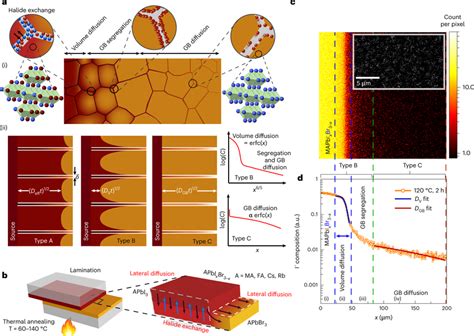 Schematic Representation Of Multiscale Diffusion In Polycrystalline Download Scientific Diagram