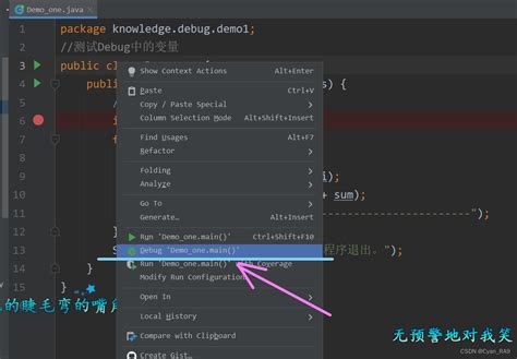 Java 程序猿必备技能——debug详解java Debug Csdn博客