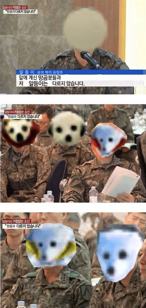 요즘 알등이들 눈에 뵈는게 없는듯 정치 시사 에펨코리아