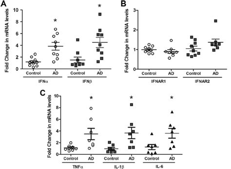 Type 1 Interferons Ifns But Not Their Cognate Receptor Are Download Scientific Diagram