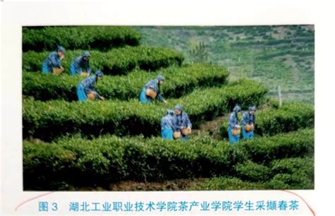 我校案例和图片入选《2022中国职业教育质量年度报告》 湖北工业职业技术学院新闻网 欢迎你
