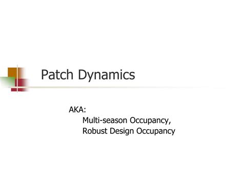 Ppt Patch Dynamics Powerpoint Presentation Free Download Id1471004
