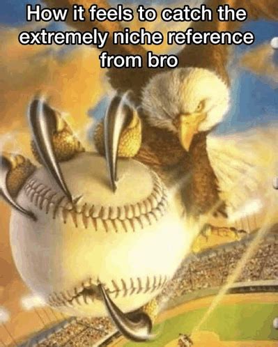 Niche Elite Ball Knowledge Meme Niche Elite Ball Knowledge I