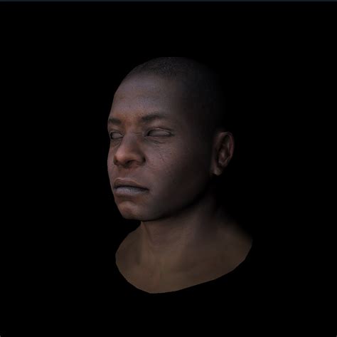 Shader Abiess Notebook