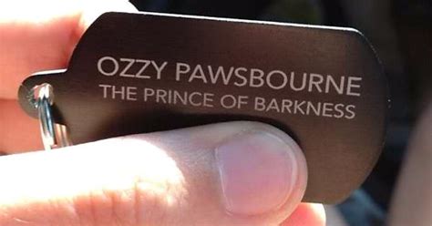 My Friends Wife Let Him Name Their New Puppy Imgur