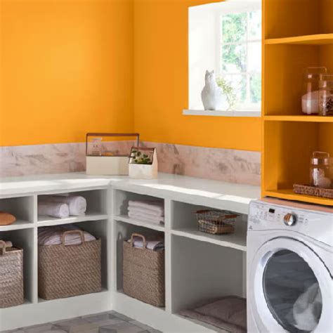 Cosmo Plus Pinturas Max