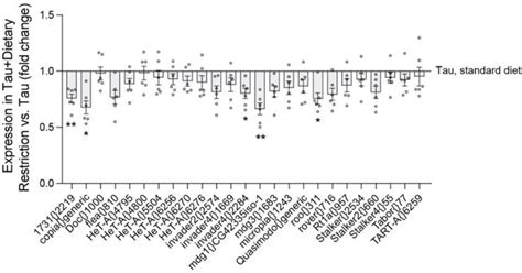 Transposable Element Transcript Levels In Tau Transgenic Drosophila In