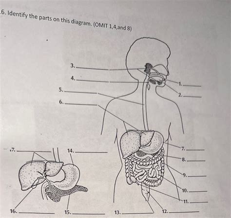 [solved] Need Help Labeling 6 Identify The Parts On This Diagram Omit Course Hero