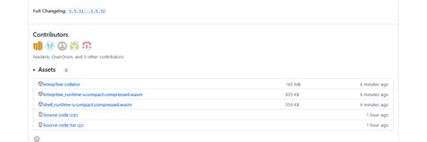 fix adding runtime version to produced binaries · issue 187 · integritee network parachain · github