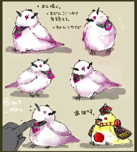 よく窓にぶつかってくるタイプのあれ KURO