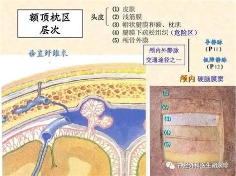 头皮损伤如何诊断及治疗 脑医汇