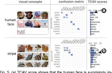 Figure 5 From Human In The Loop Extraction Of Interpretable Concepts In Deep Learning Models