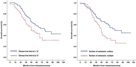 Kaplan Meier Survival Curves For Patients According To Their Download Scientific Diagram
