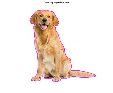 Github Ibrahimovnijatsubpixel Edge Detection Cannydevernay