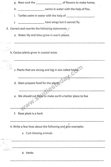 Cbse Evs Worksheets For Class 2