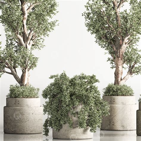 Растения в горшках Набор для помещений 100 3d модель Greatcatalog 44994