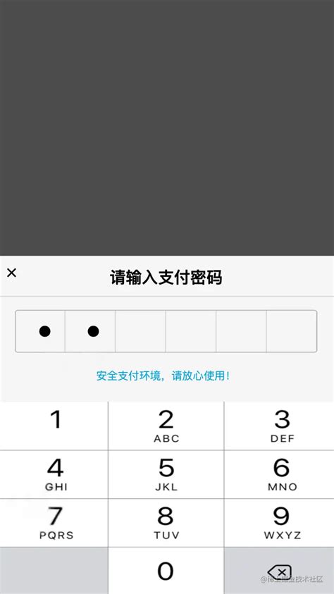模仿支付宝输入支付密码的ui，带javascript 密码输入校验功能新开发一个功能，用到了一个模拟支付宝手机端输入密码 掘金
