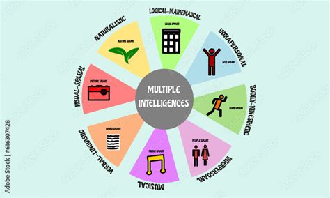 Vector Grapich Illustration Of Multiple Intelligences Howard Gardner Theory Multiple